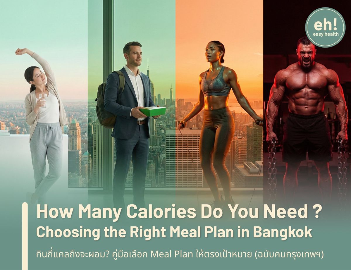 How Many Calories Should Your Meal Plan Have ? | Easy Health